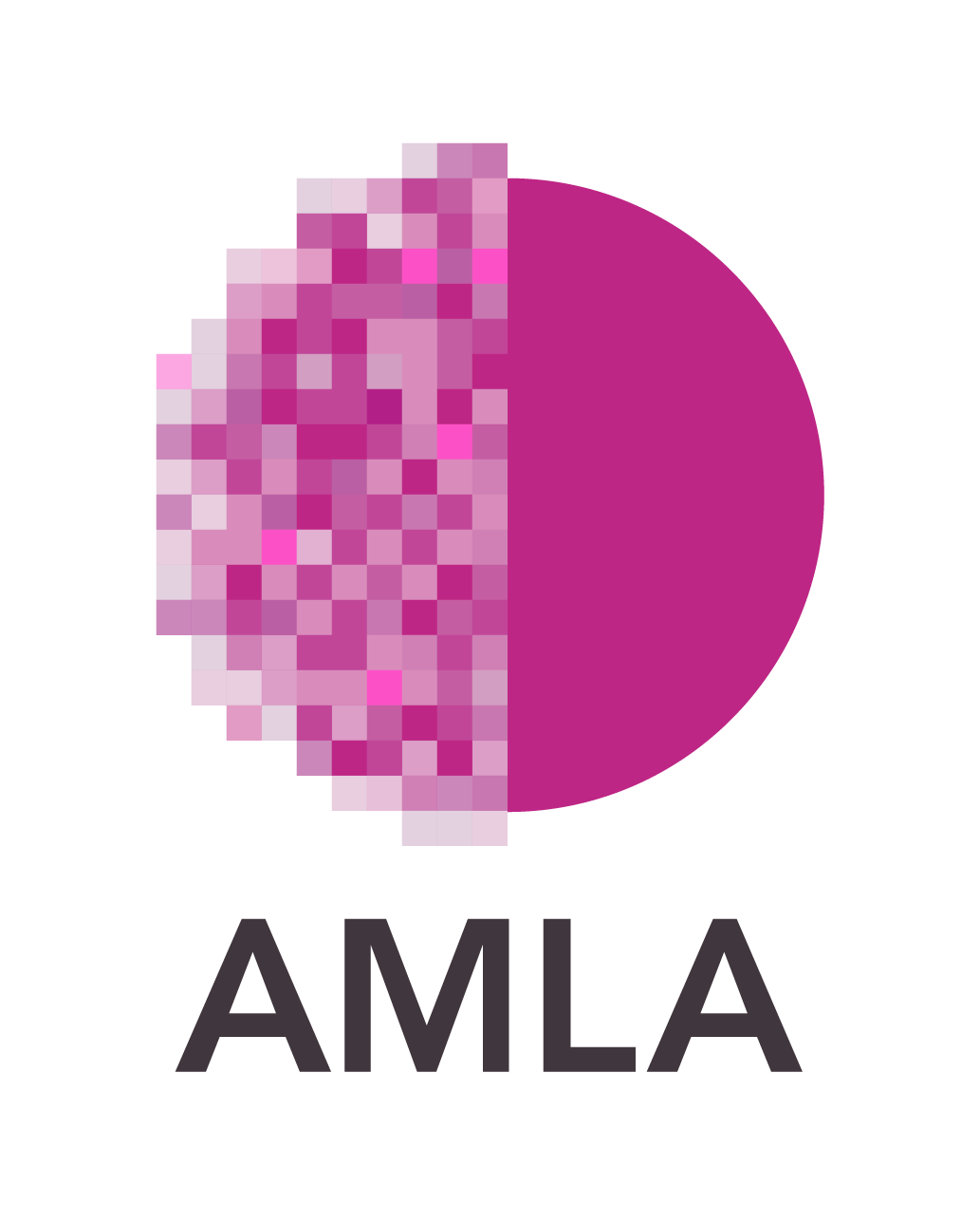 Australian Media Literacy Alliance takes major leap forward - Media ...